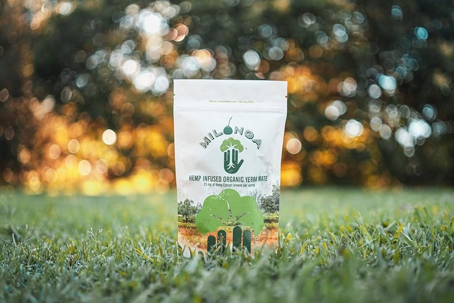 La yerba mate contiene vitamina K y cuáles son sus beneficios