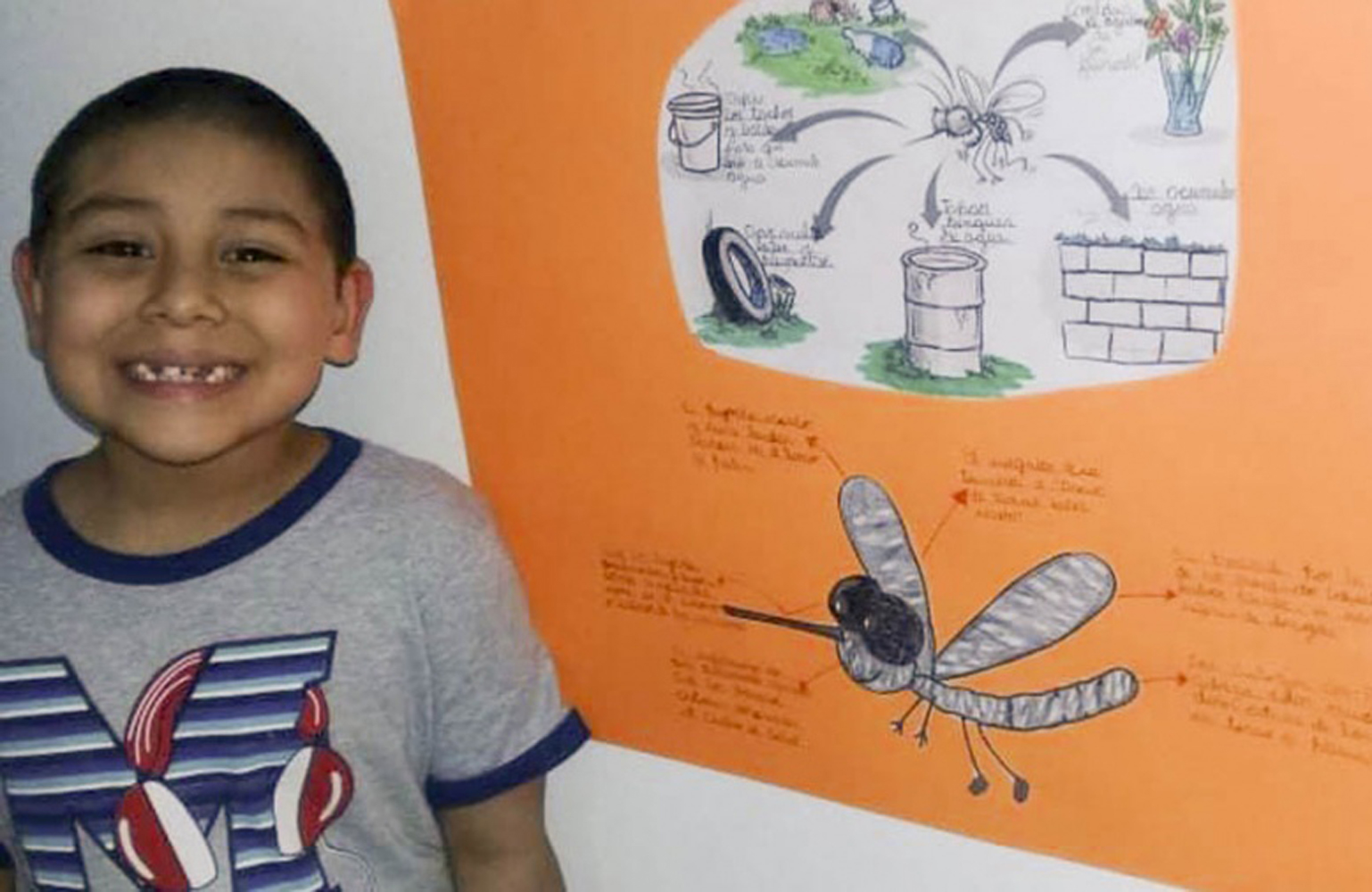 Qué actividades incluir en un proyecto sobre el dengue para nivel inicial